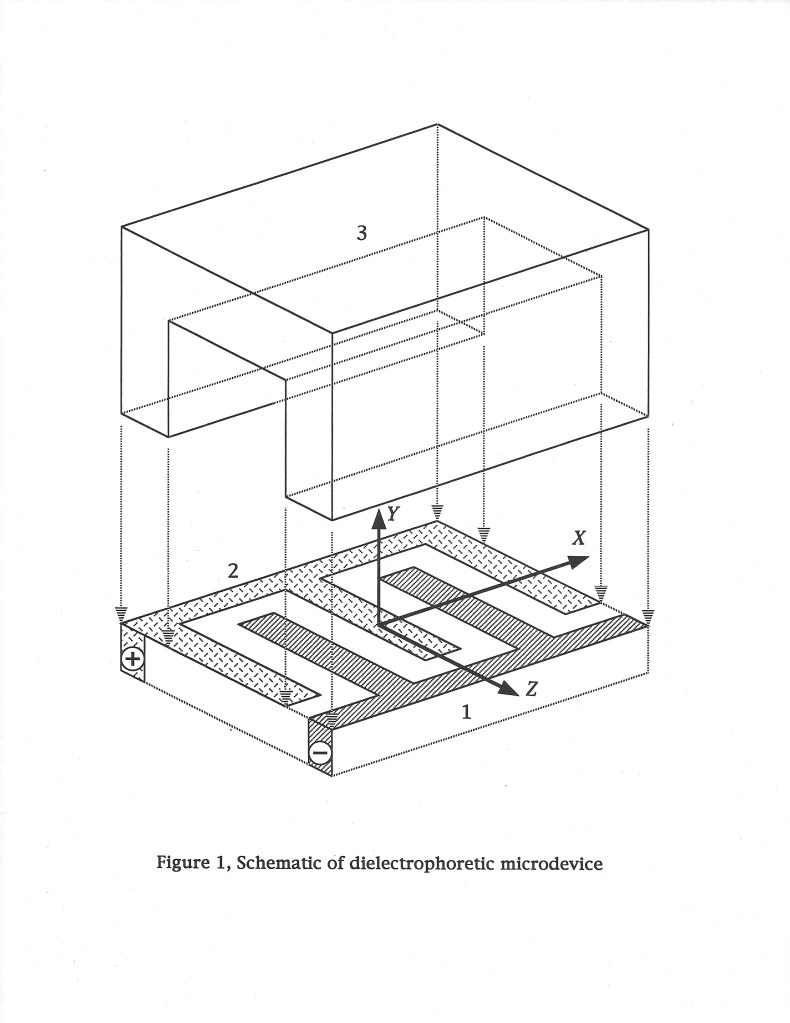 DEP Micro-device 2D Electric Field | manuelgarciajr